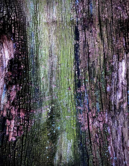 Alex Steiner - ArtAscent Art & Literature Journal | Call for Artists ...