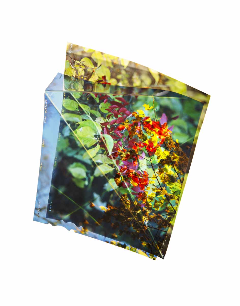 Artists + Writers - ArtAscent Art & Literature Journal | Call for Artists | Call for Writers