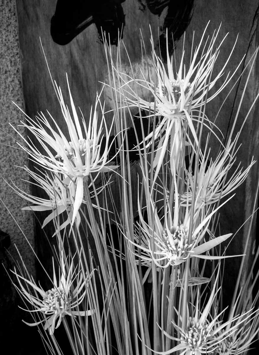 Artists + Writers - ArtAscent Art & Literature Journal | Call for ...